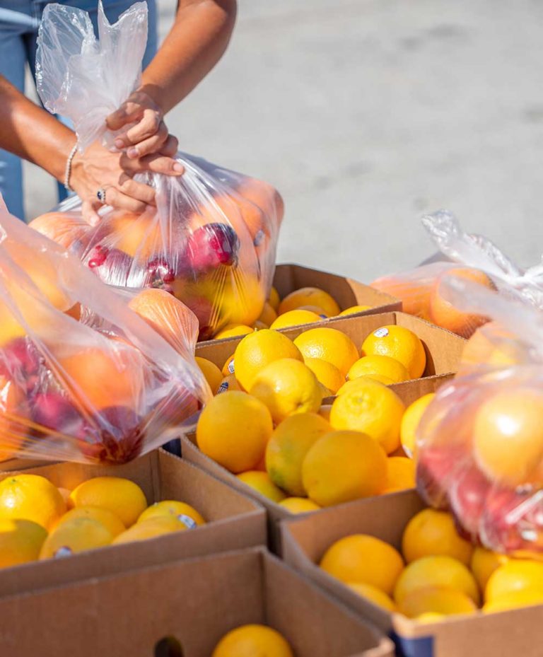 Summer of Service Continues with GL Homes Support | Florida Real Estate ...